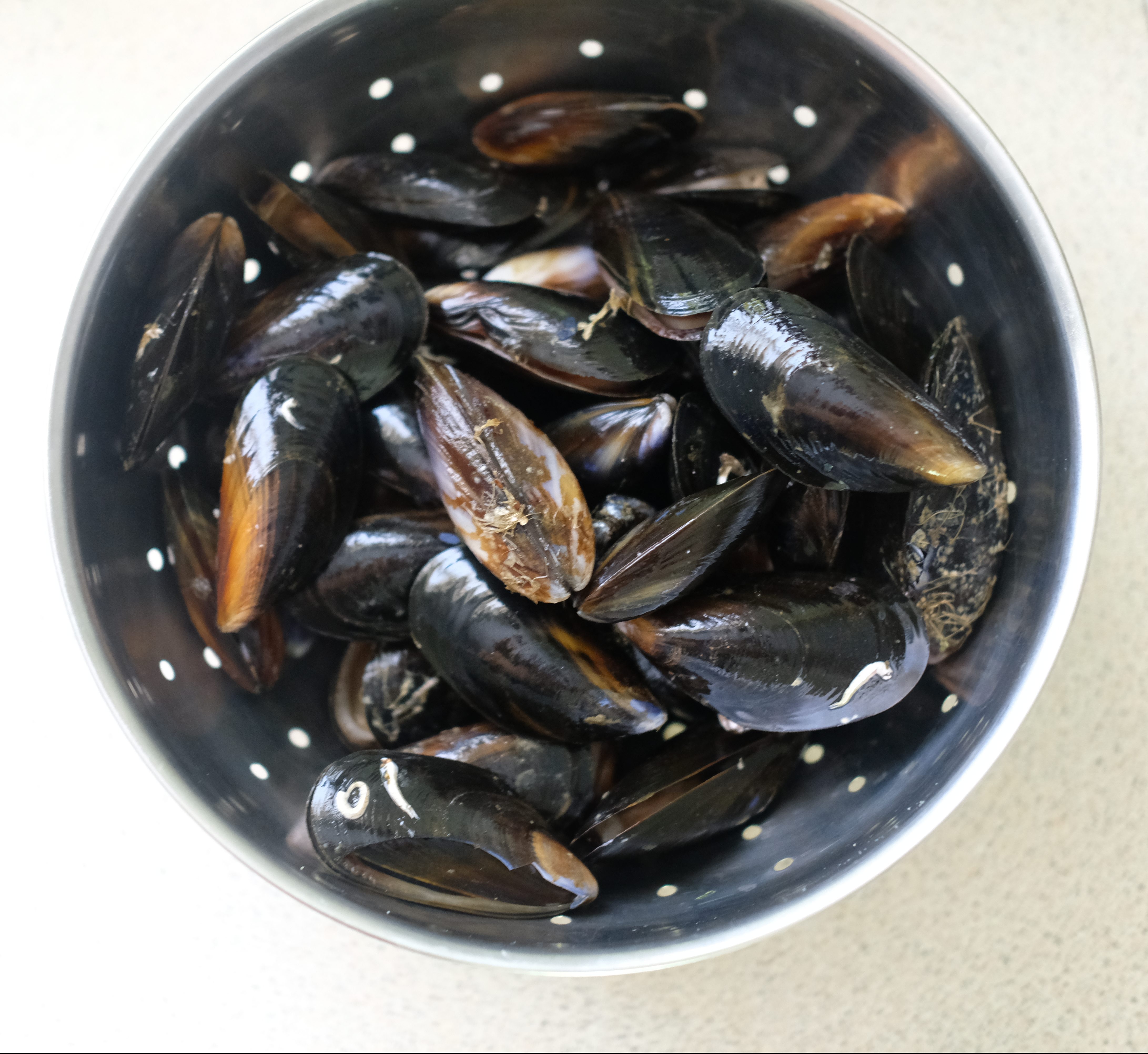 Thai Style Menai Mussels – Rebecca Castiglia